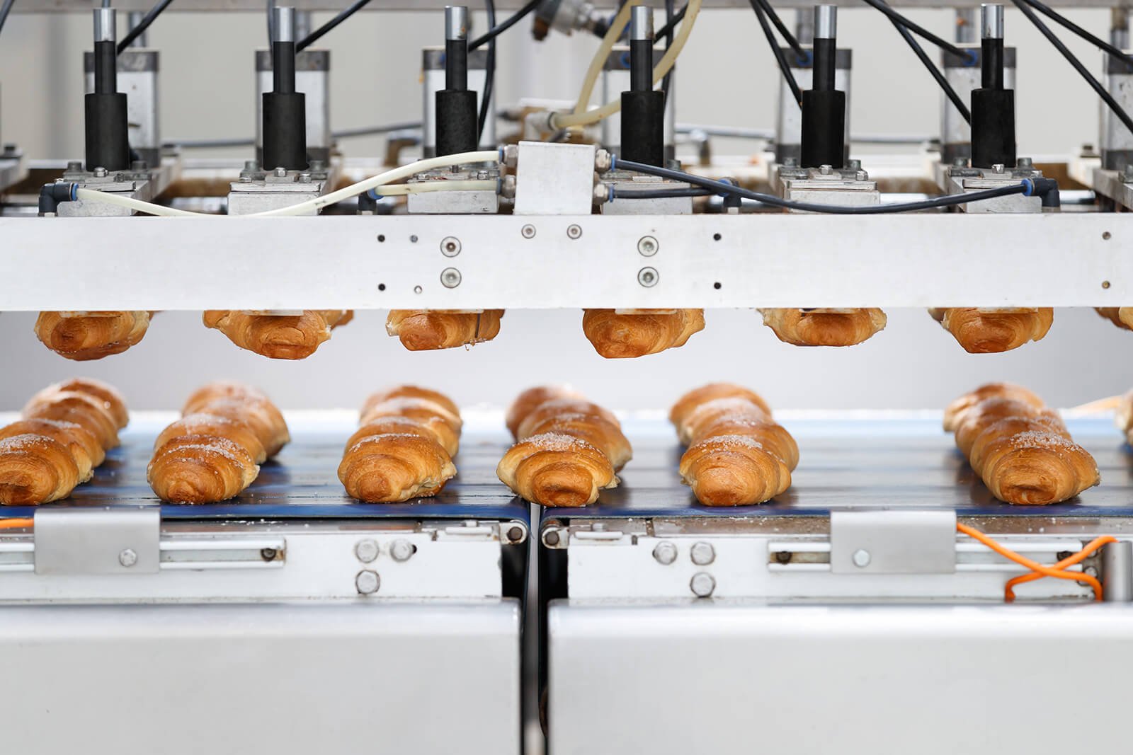 Delighting the World: Antonelli Confectionery Industries SPA ...